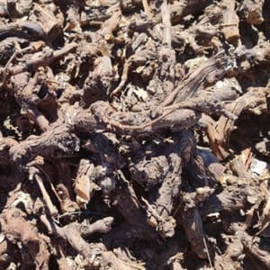 WINGERD STOMPIES / GRAPE VINE | The Firewood Company